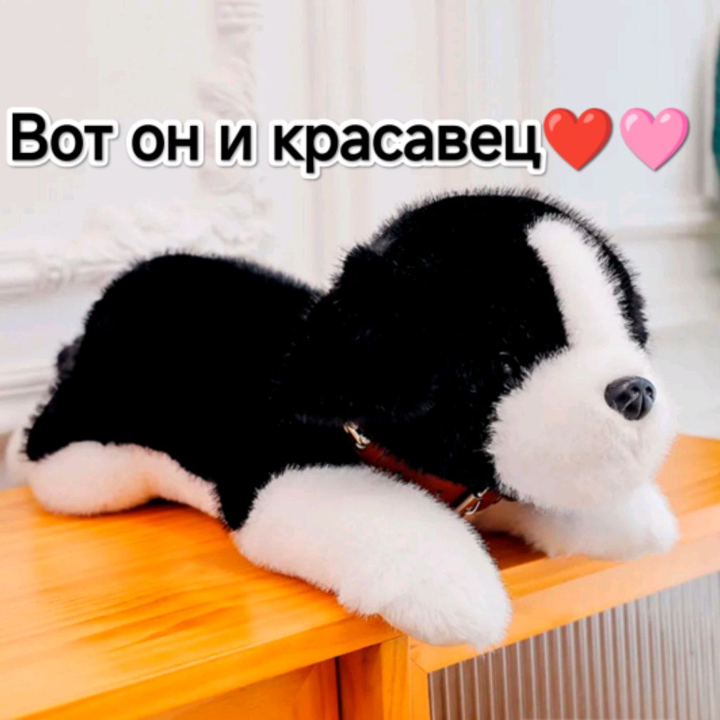 Иконка канала 🐕~ Jax~🐕