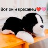Иконка канала 🐕~ Jax~🐕