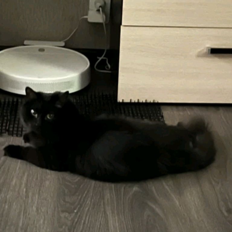 Иконка канала Веранда