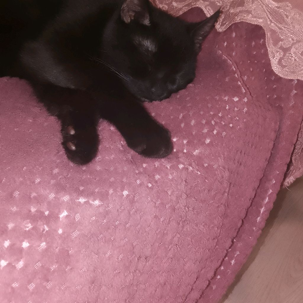 Иконка канала Дилноза_444