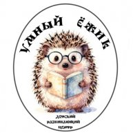 Иконка канала Детский развивающий центр "Умный Ёжик" Гатчина