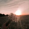 Иконка канала _Angel_