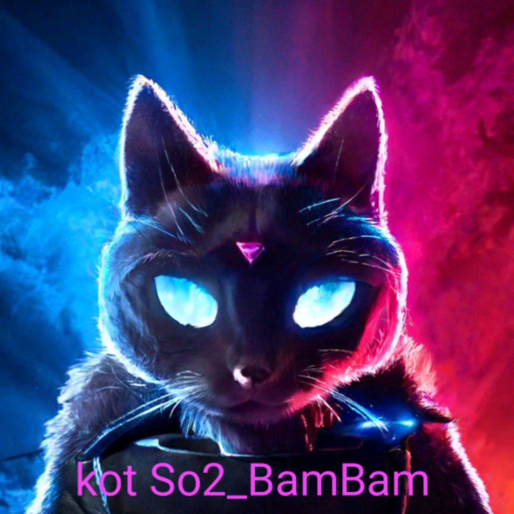 Иконка канала kot So2_BamBam