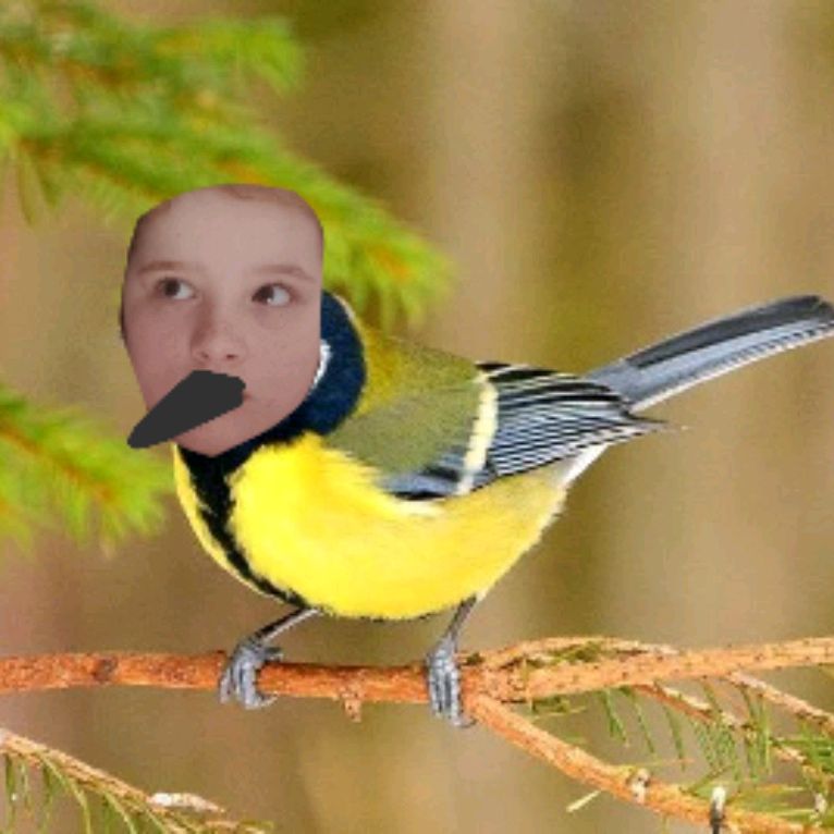 Иконка канала Я СИНИЧКrrrrrr🐦🐥🫐