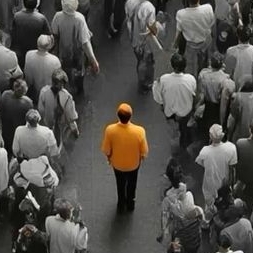 Иконка канала В мире животных ремейк