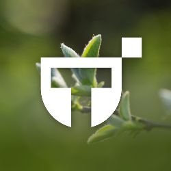 Иконка канала Управляющая компания "Территория"