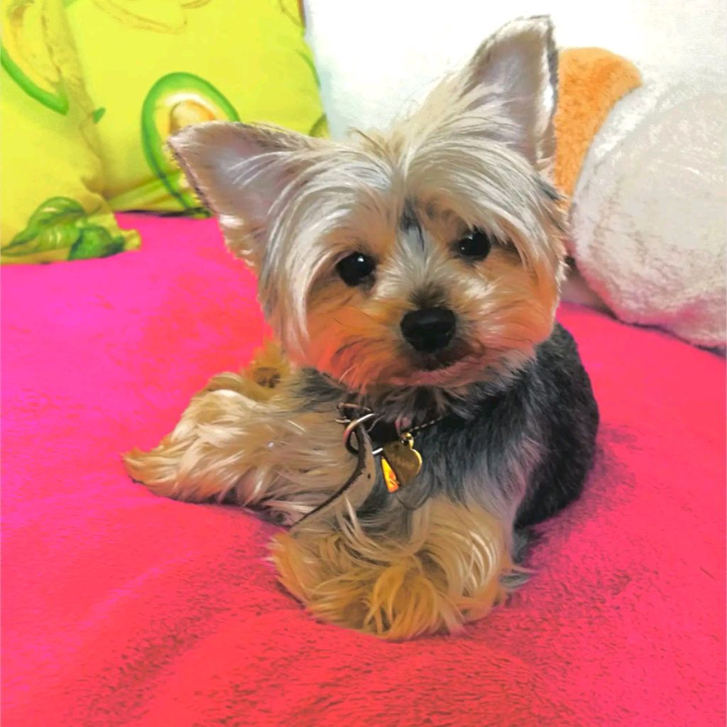 Иконка канала Да Ты ШУЕШЬ🫠