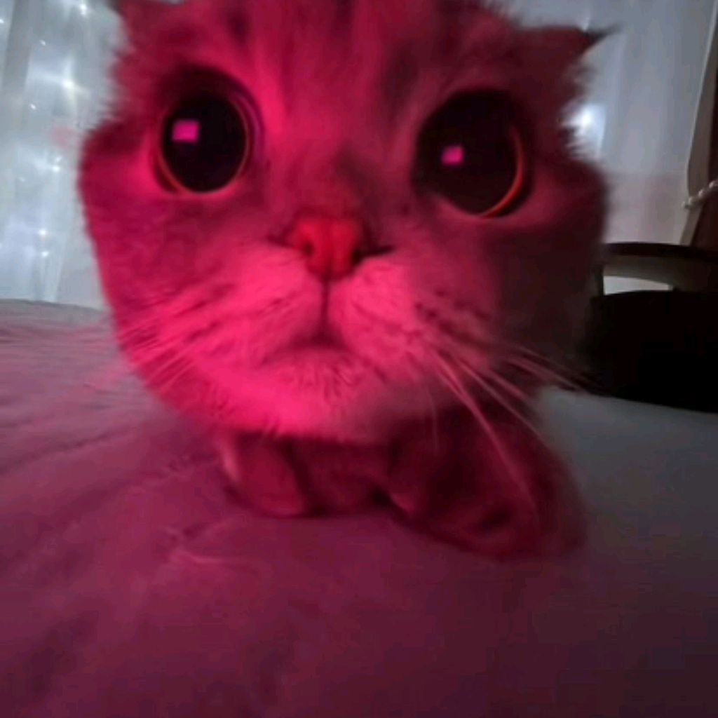 Иконка канала MR/BRAVLER😮💨