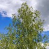 Иконка канала Развлечение