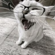 Иконка канала ✌🖤я девочка мне можно🖤✌