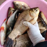 Иконка канала Учусь ловить 🐟