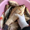 Иконка канала Учусь ловить 🐟