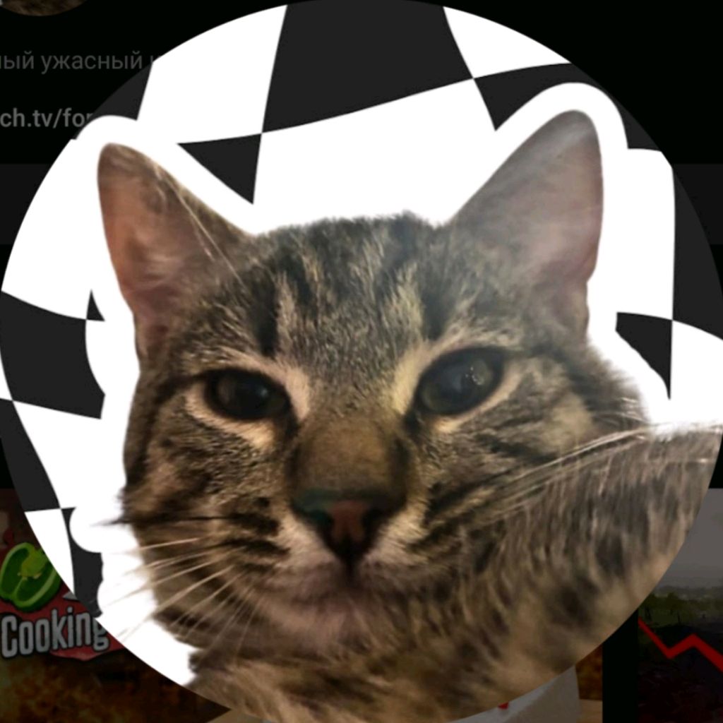 Иконка канала Forz  Перезвливы