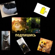 Иконка канала ПЛУТОН и БЛЭК