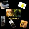 Иконка канала ПЛУТОН и БЛЭК