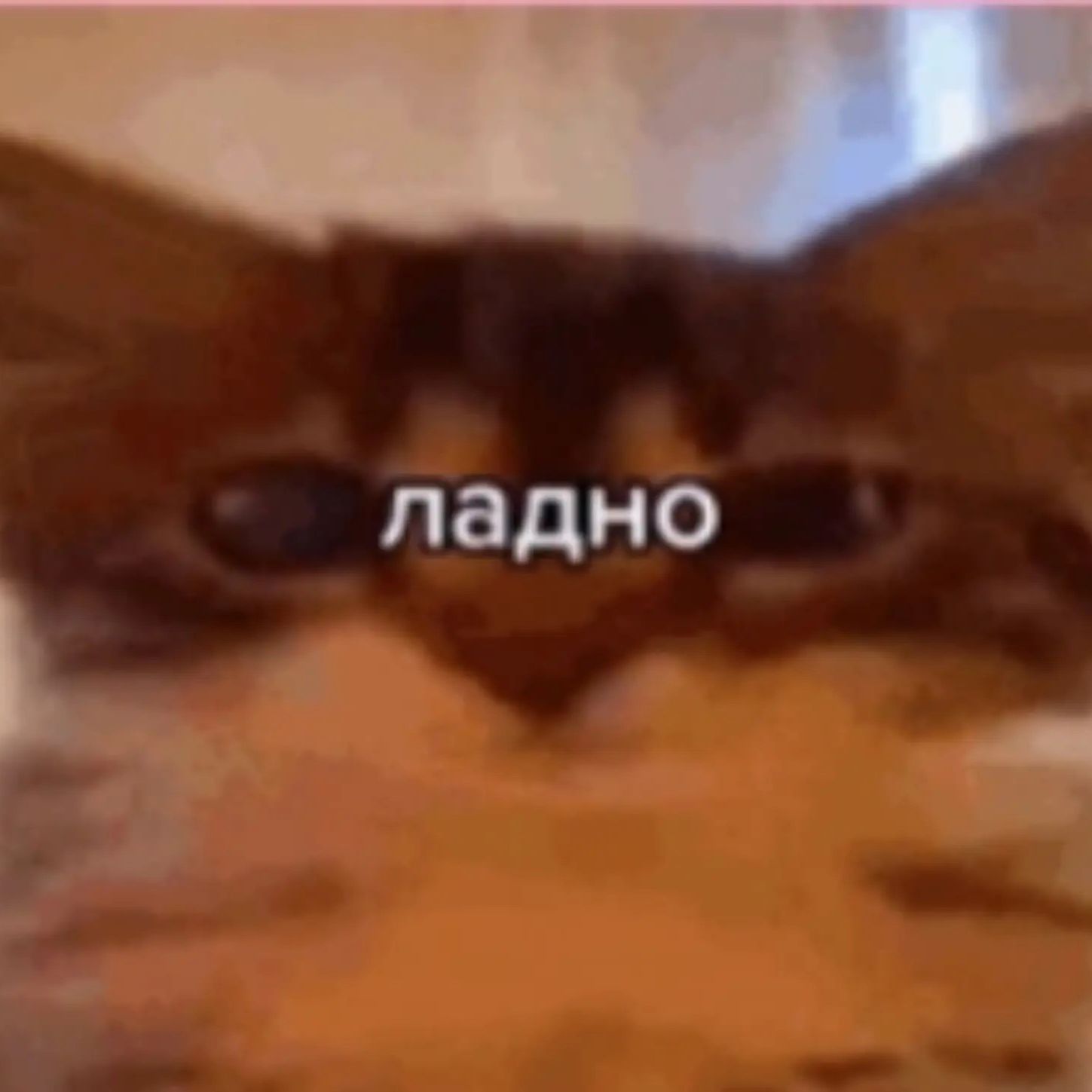 Иконка канала ꧁༺Arena༻✓