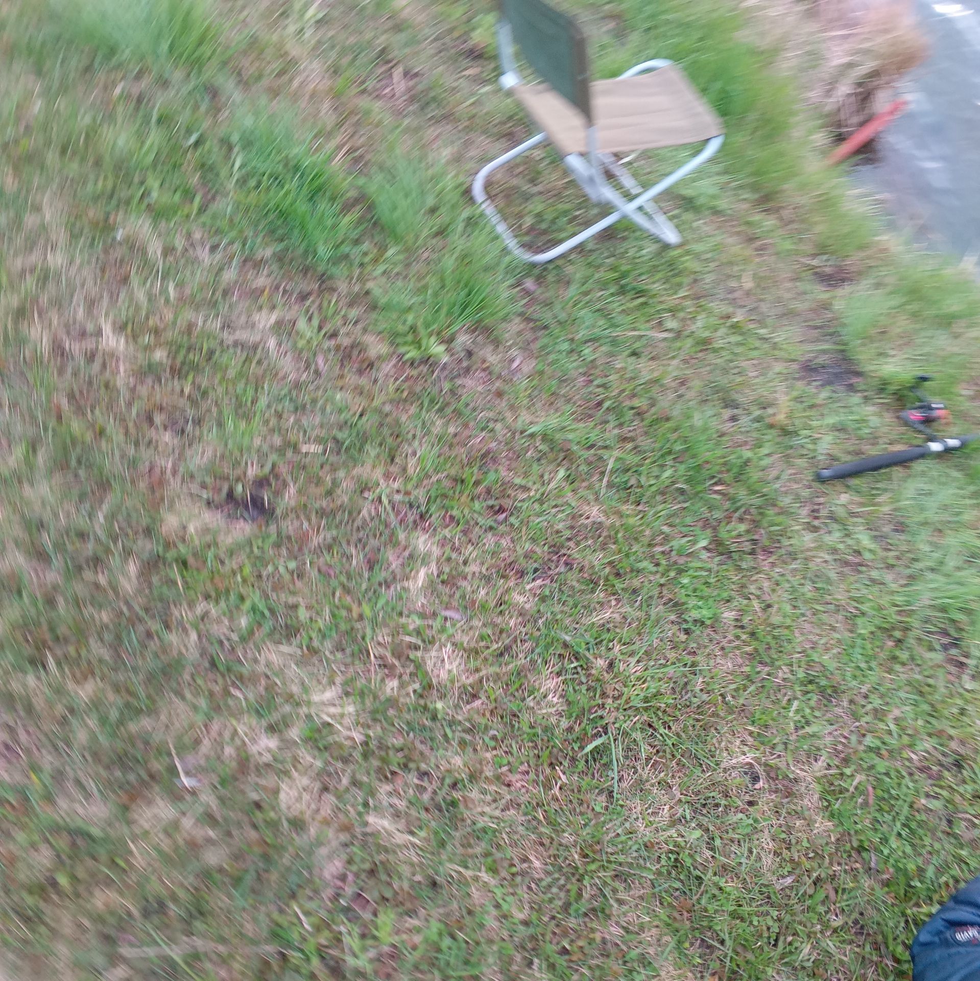 Иконка канала Lomtik