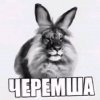 Иконка канала Черемша 🙄