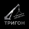Иконка канала Тригон