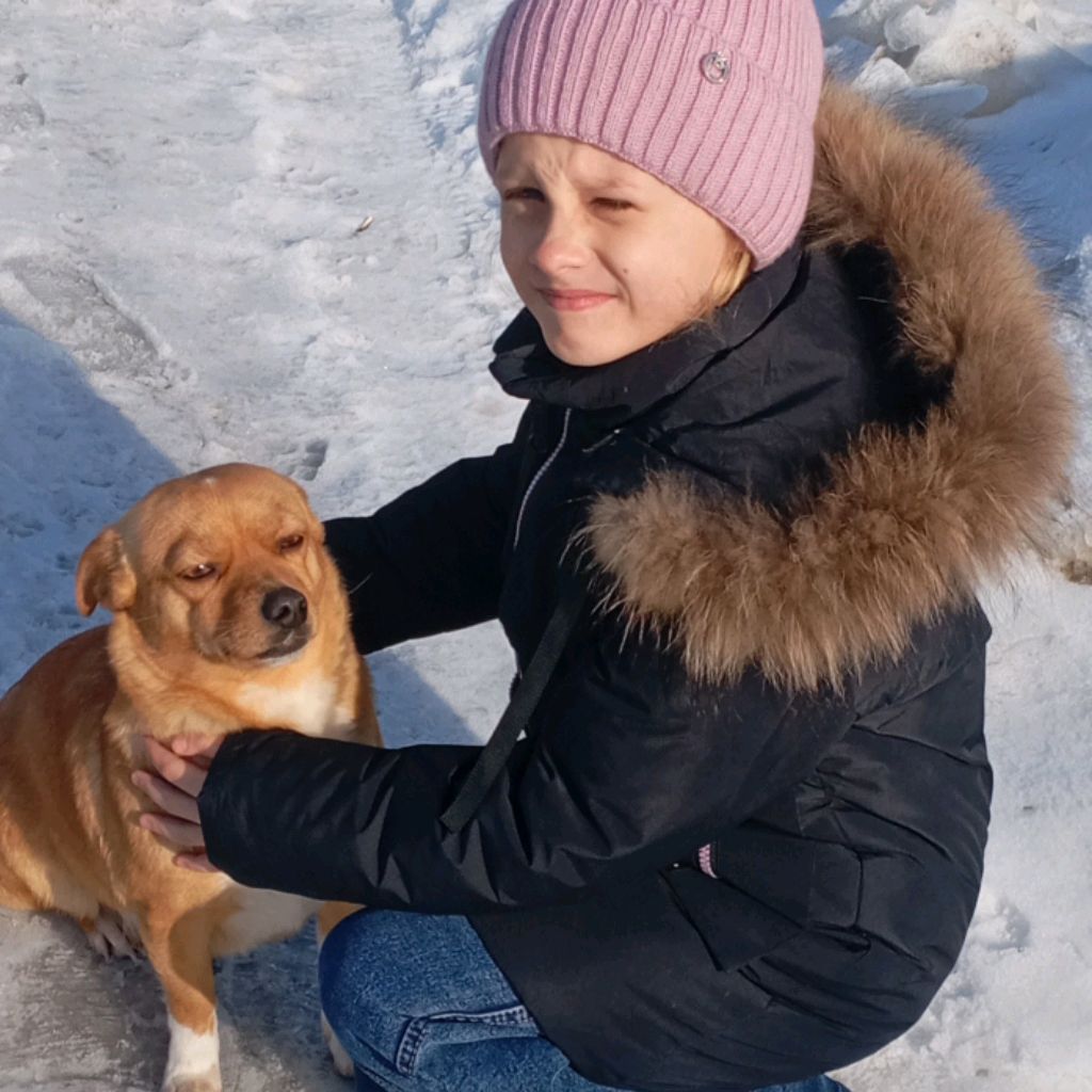 Иконка канала channel77982940