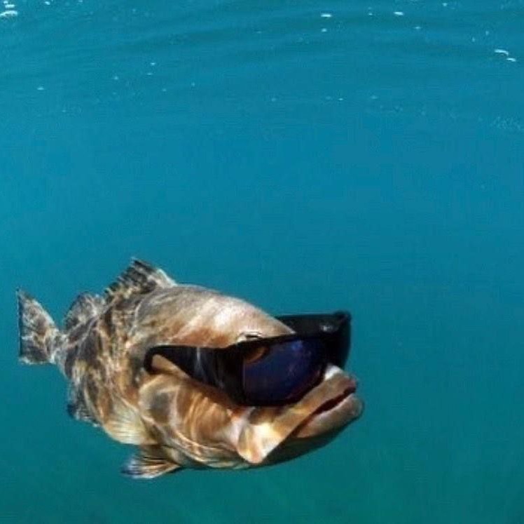 Иконка канала Film Expert