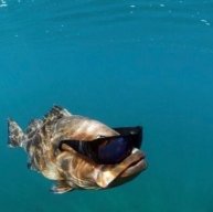 Иконка канала Film Expert