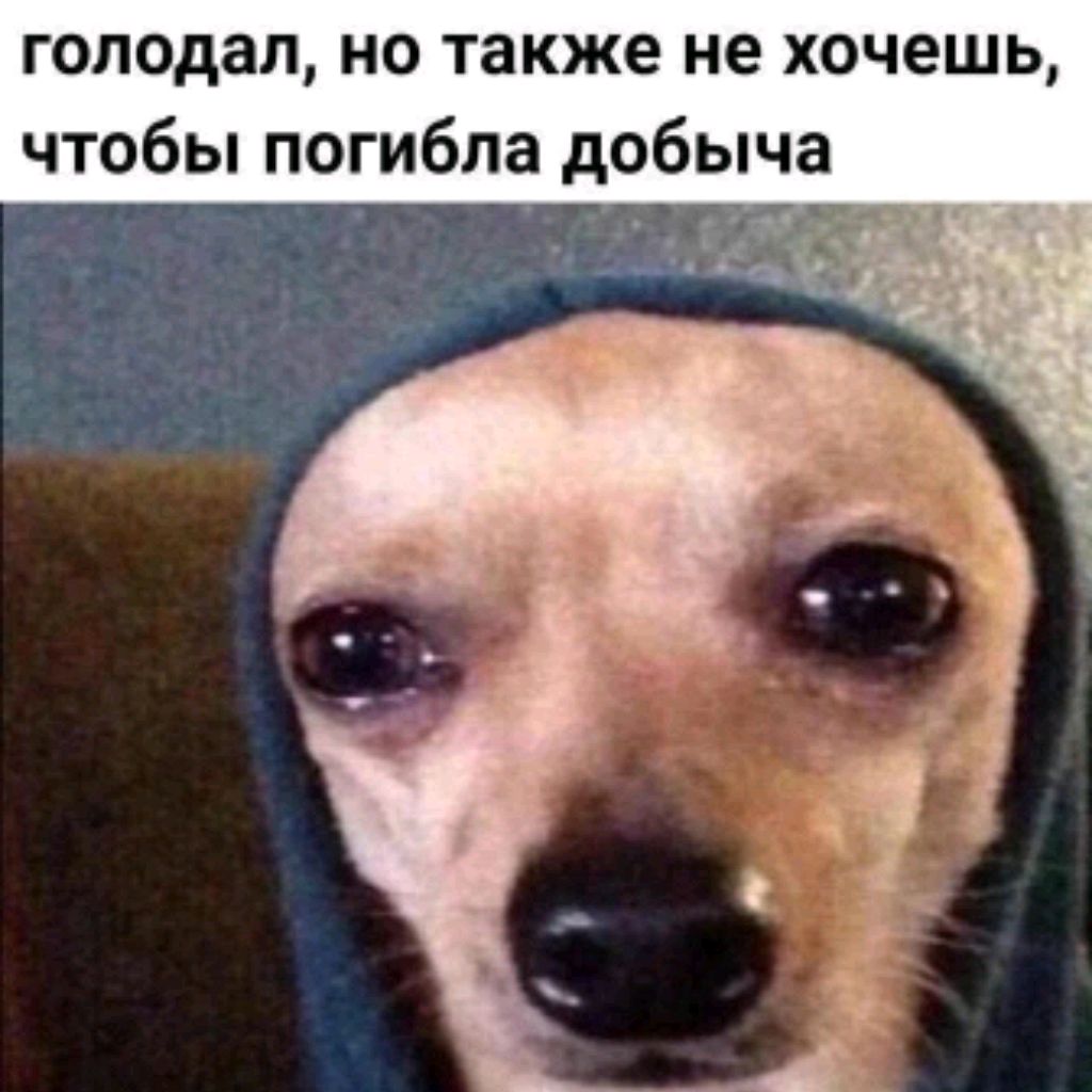 Иконка канала Имя:Артем4ик   канал:Kpocan