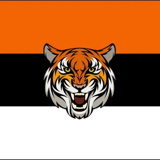 Иконка канала Росстигр Roblox