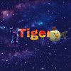Иконка канала Tiger