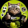 Иконка канала КотЧок ЗОЖик
