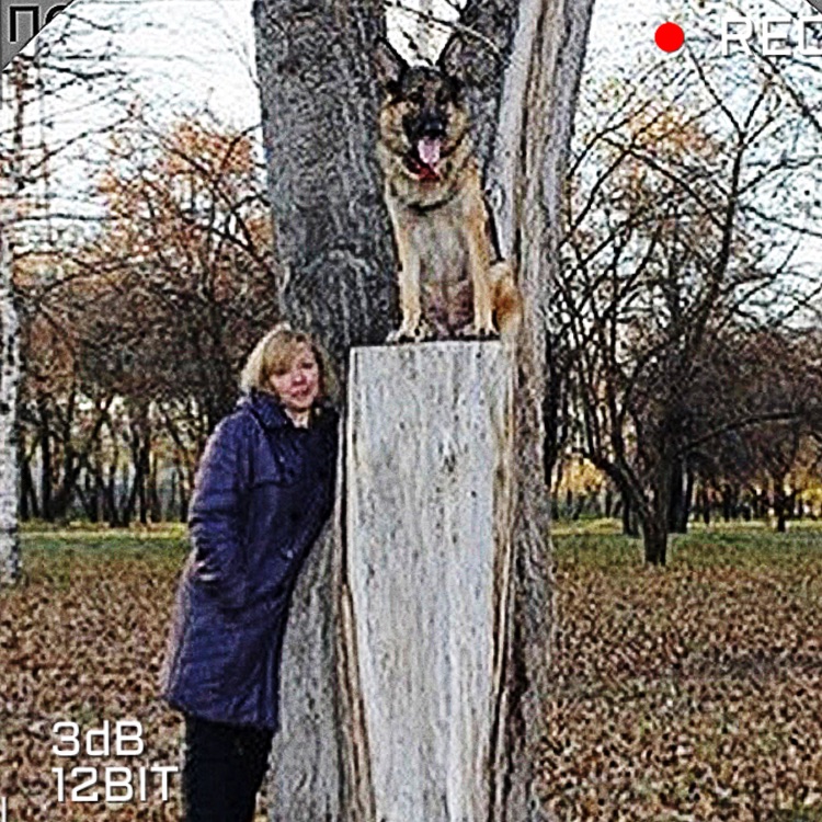 Иконка канала РитаVettkina