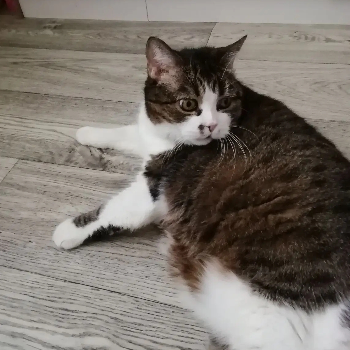 Иконка канала Katie _ Zelenina