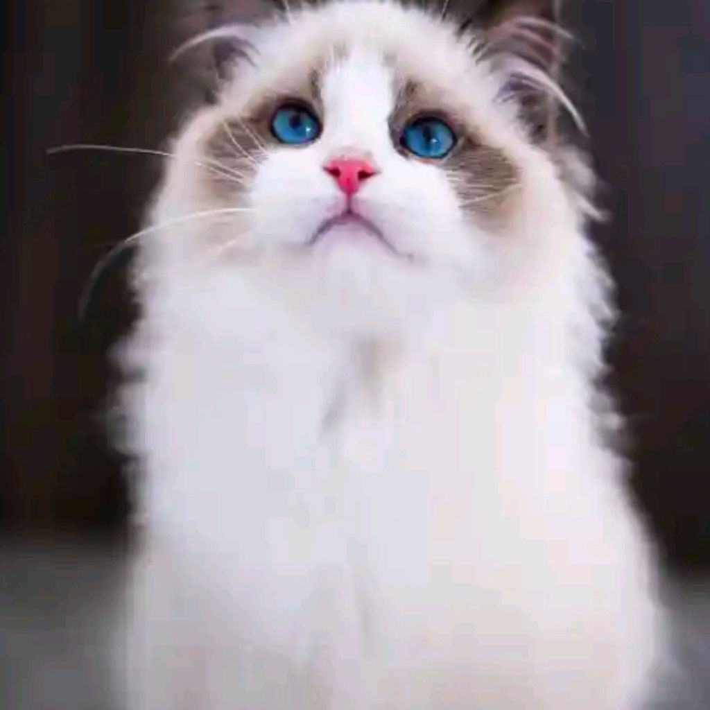 Иконка канала 💓LERA KAT💓