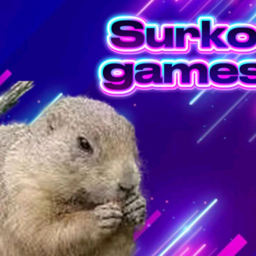 Иконка канала SurkoGames