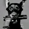 Иконка канала Подвал Короля И Шута