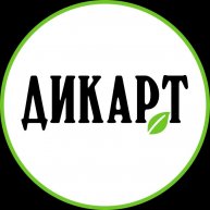 Иконка канала Дикарт лепнина