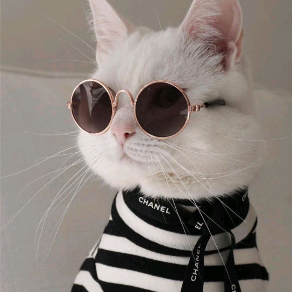 Иконка канала chanel73