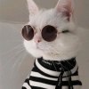 Иконка канала chanel73