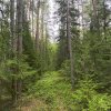 Иконка канала Искатель 21