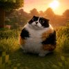 Иконка канала NIKITA 😺👍