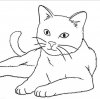 Иконка канала Разнообразие домашних животных