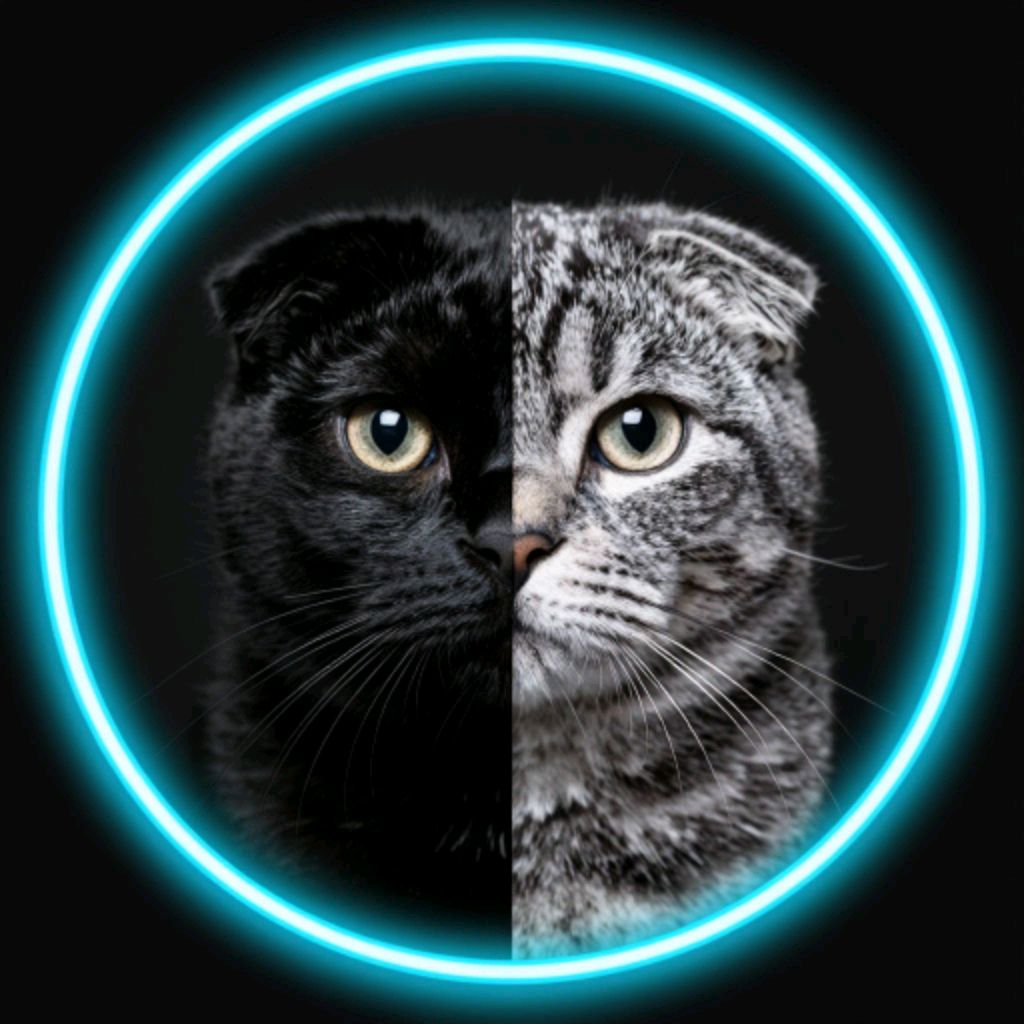 Иконка канала Мышка🐾Муся
