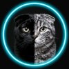 Иконка канала Мышка🐾Муся