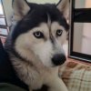 Иконка канала Сигма Нордик