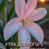 Иконка канала Светлана  😏