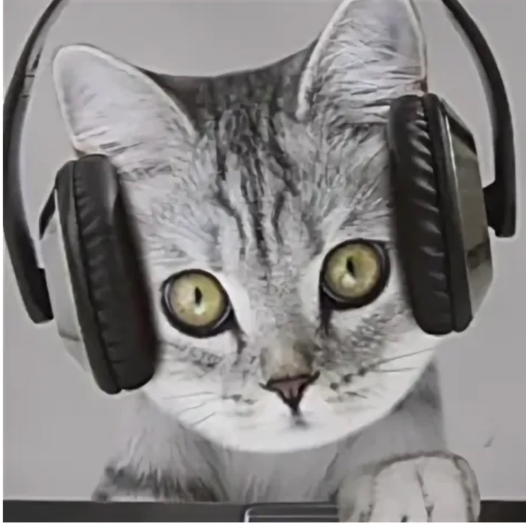 Иконка канала AnnaMusic