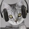 Иконка канала AnnaMusic
