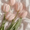 Иконка канала ♡ 𓍼 𝚔𝚜𝚞𝚜𝚑𝚊 𓍼 ♡
