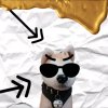 Иконка канала МИХА  ПДБ