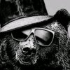 Иконка канала Mixa Boss